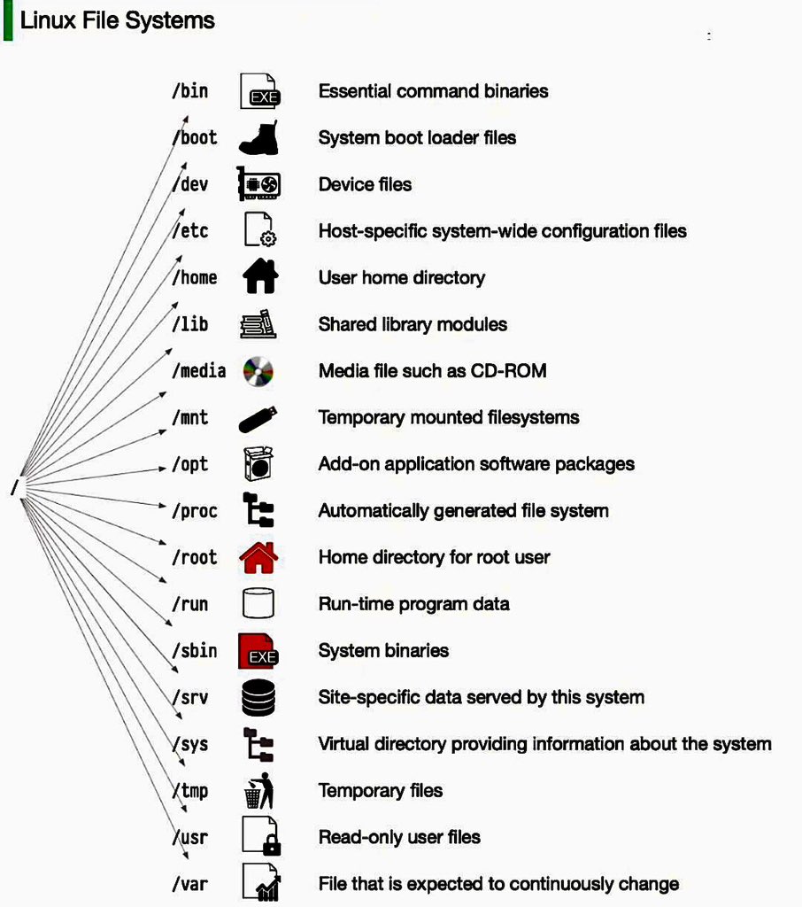 How Are Files And Directories Organized In Linux Deb1dong